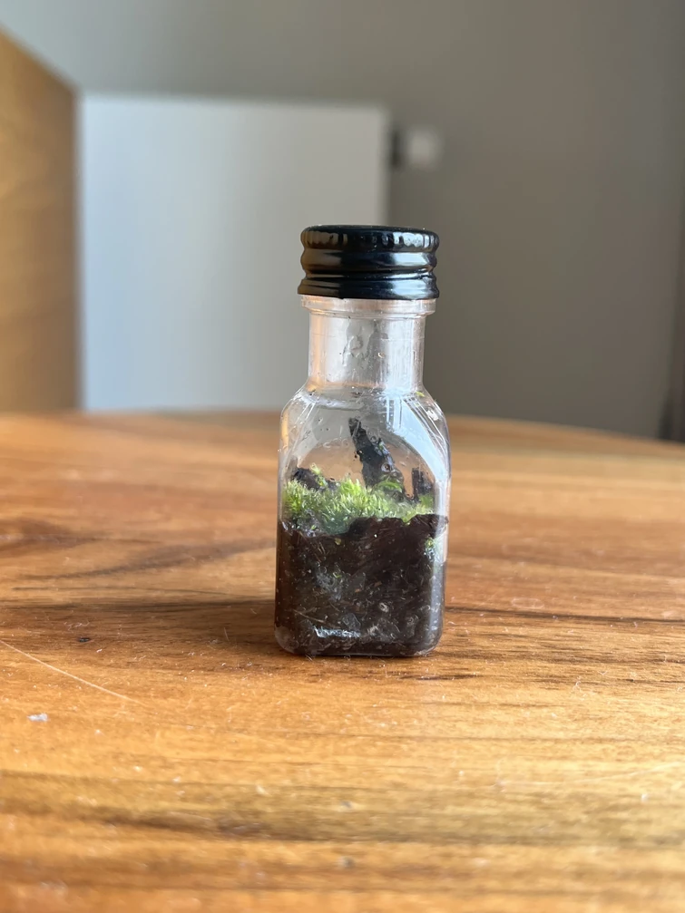 I’ve successfully made my object oc irl. | Fandom