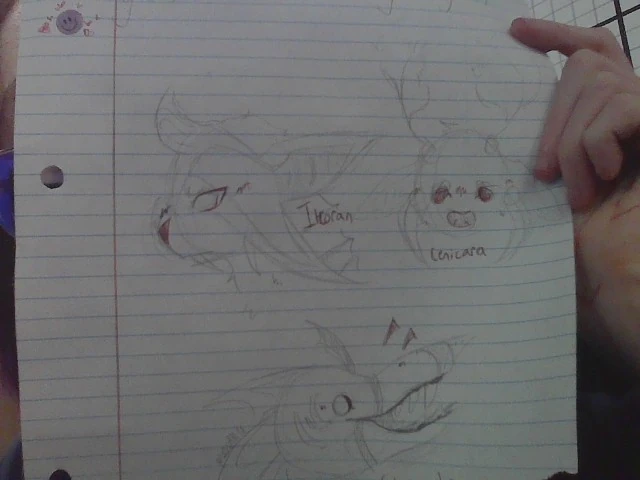 drawn from memory | Fandom