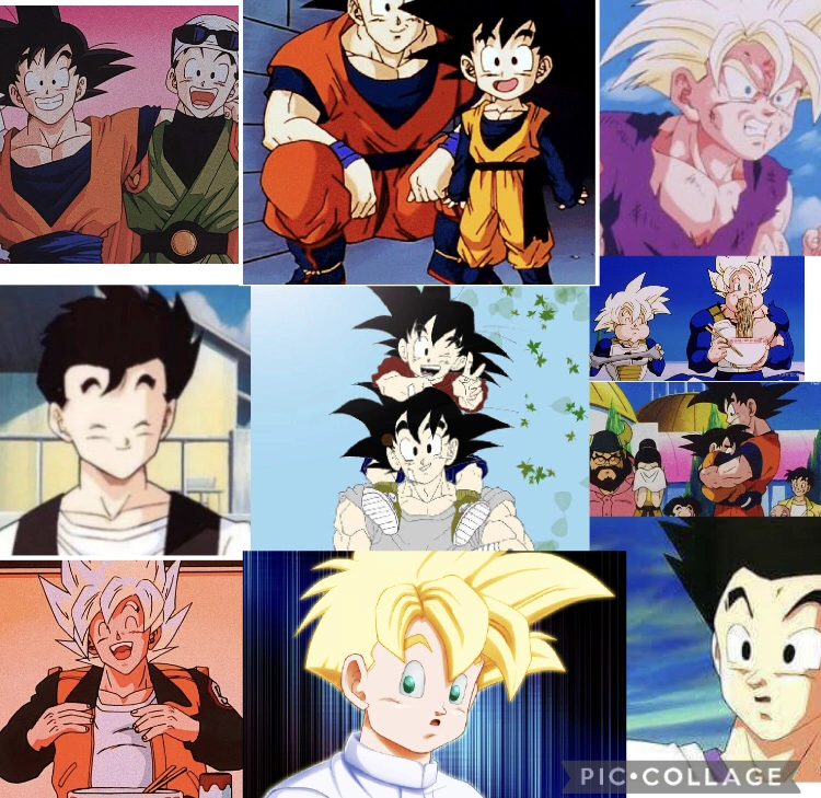 Gohan | Fandom