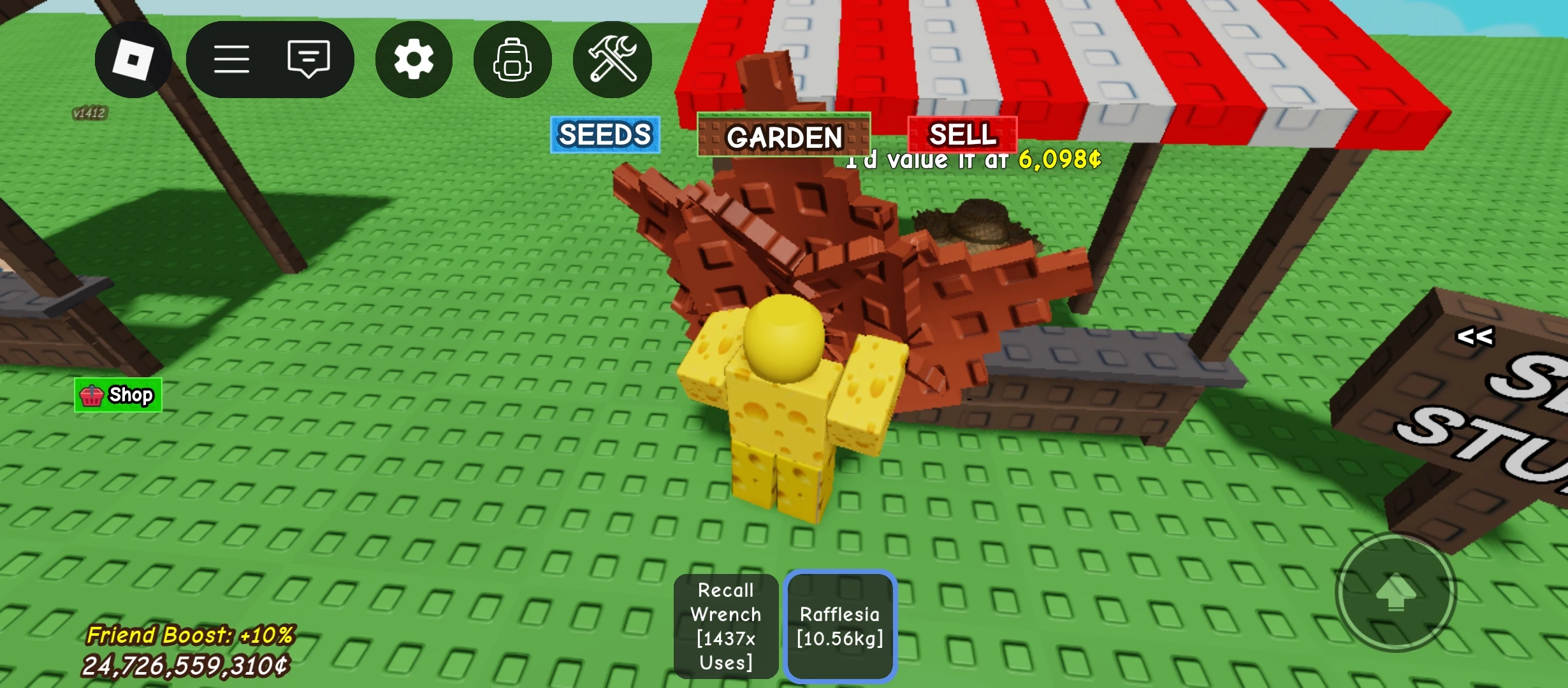 Information about rafflesia | Fandom