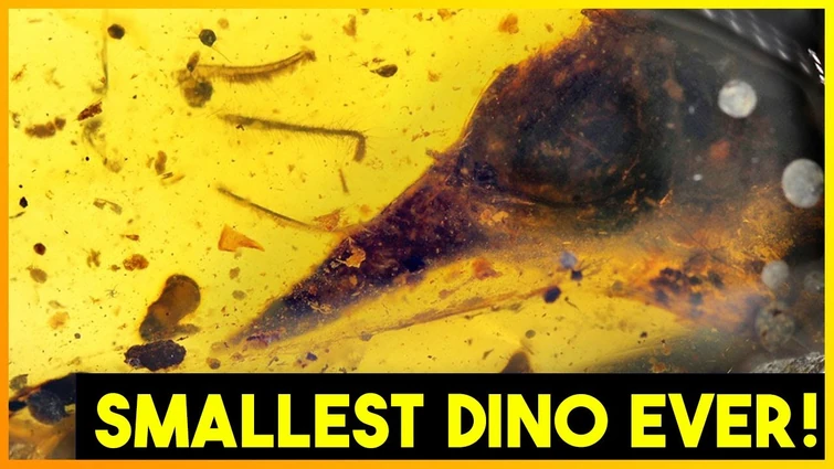 Discuss Everything About Dinopedia | Fandom