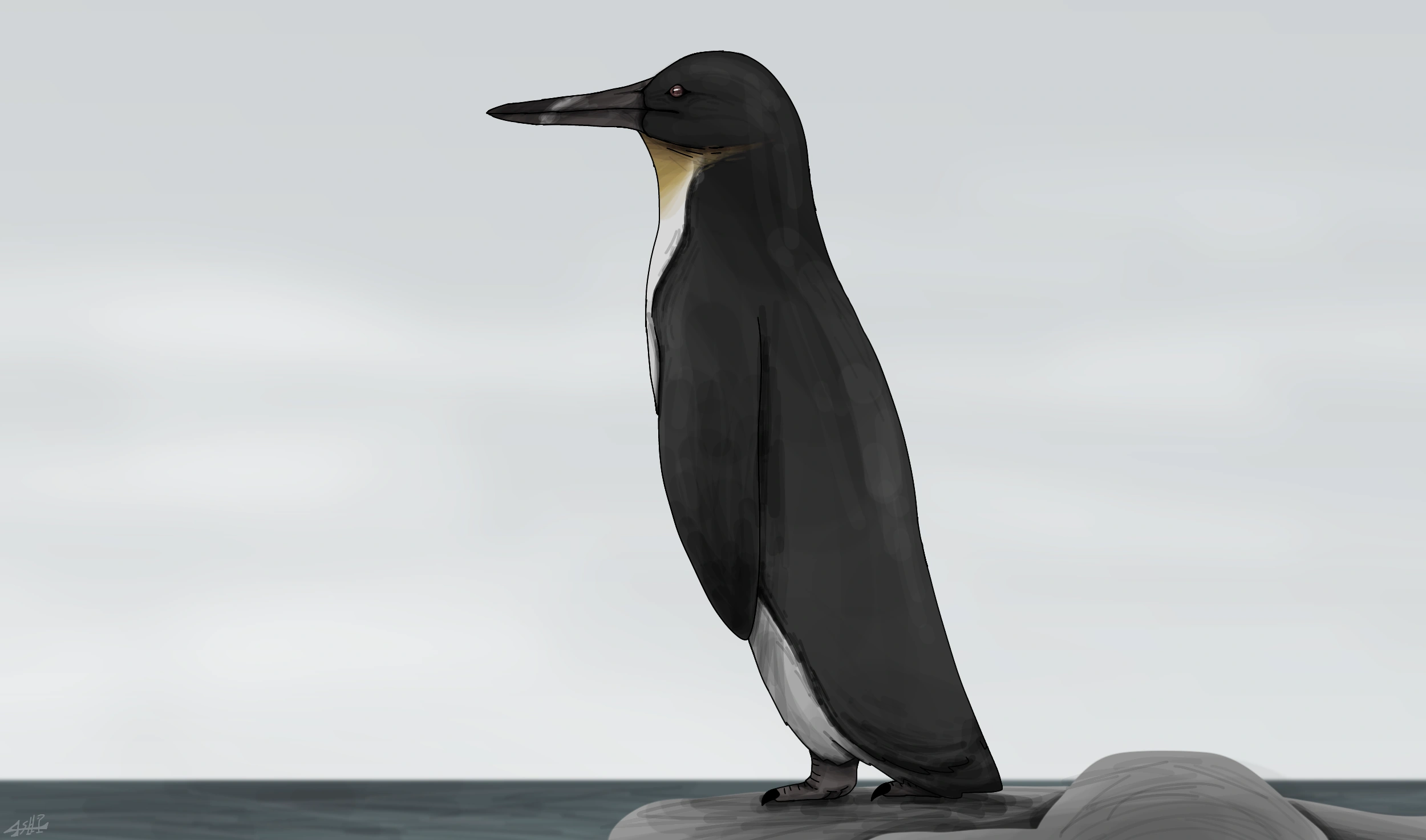 Icadyptes salasi drawing | Fandom