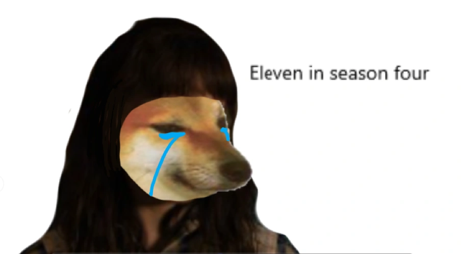 Eleven meme | Fandom