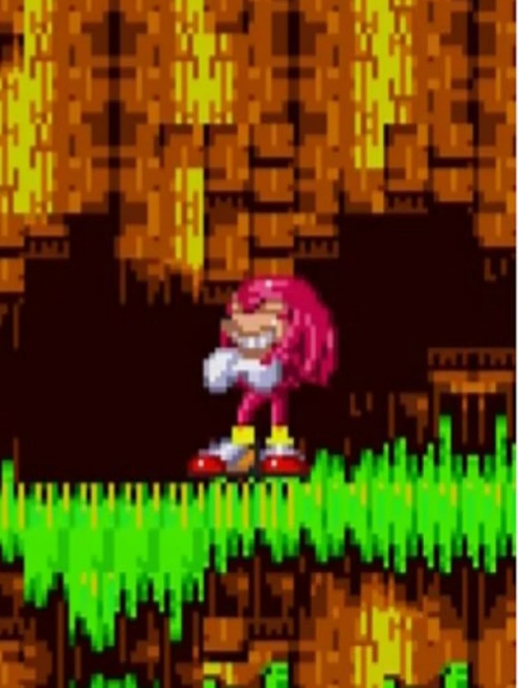 A lot of peoples say: Knuckles don't laugh | Fandom