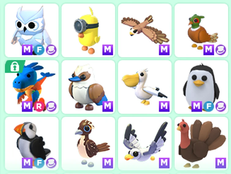 Discuss Everything About Adopt Me! Wiki | Fandom