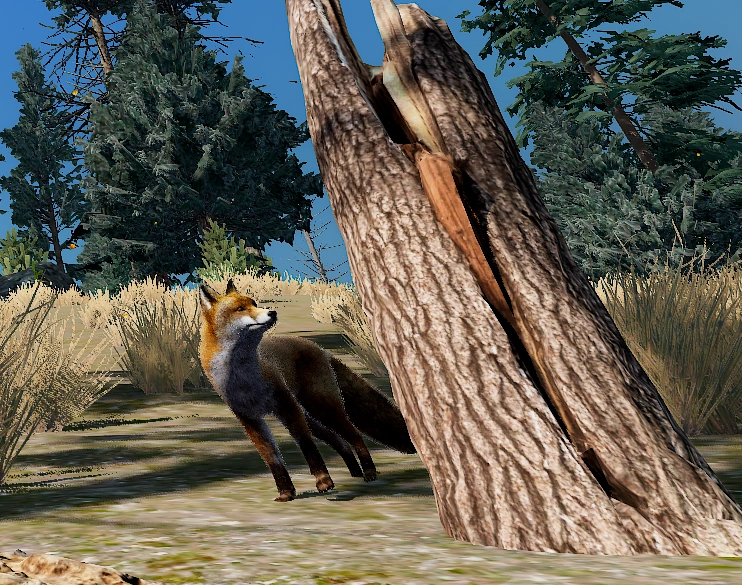 Camera Traps | Fandom