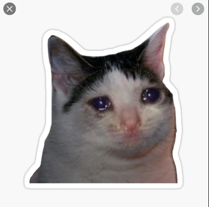 Sad cat meme wallpaper