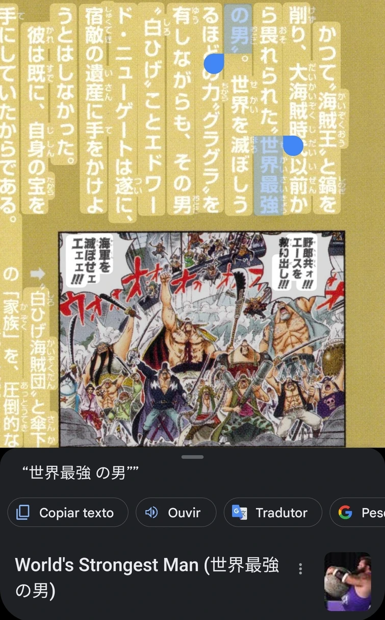 Is Mihawk the current Strongest Man in the World? | Fandom