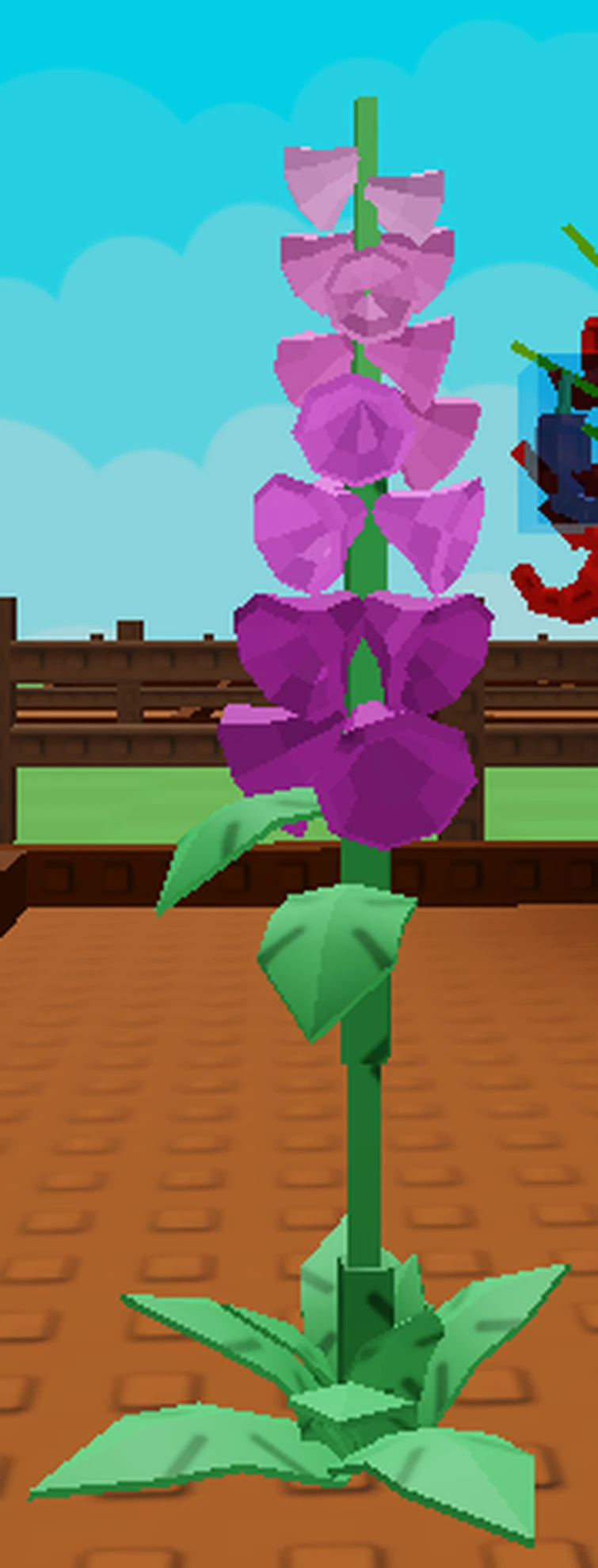 New foxglove plant from the flower seed pack | Fandom