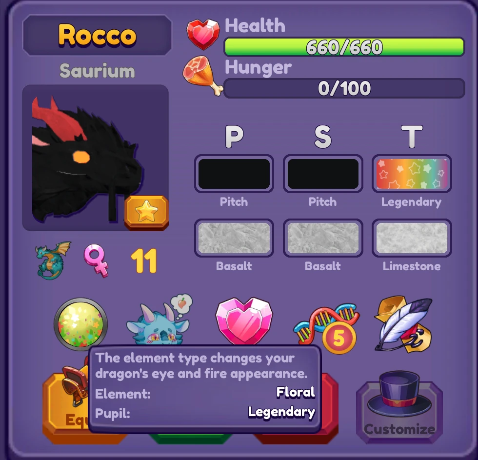 Meet Rocco! | Fandom