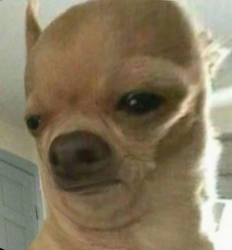 maple apple | Fandom