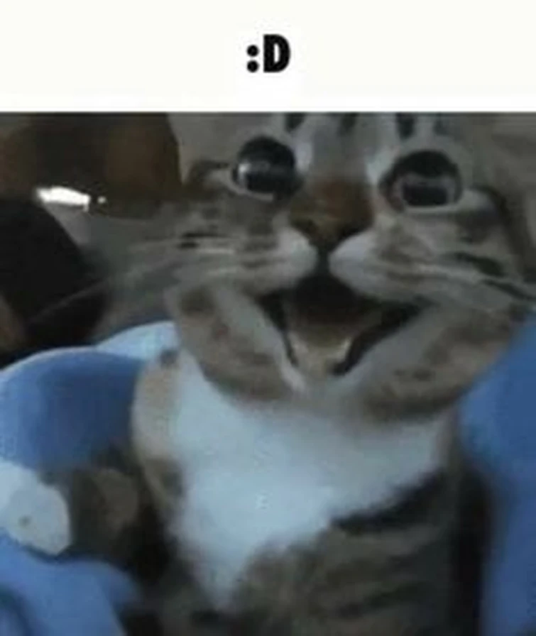 Casually returns (Intro?) | Fandom