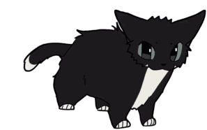 This Is Maxwell by Vani | Fandom