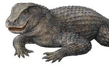 Which depiction of Simosuchus do y’all like the most? | Fandom