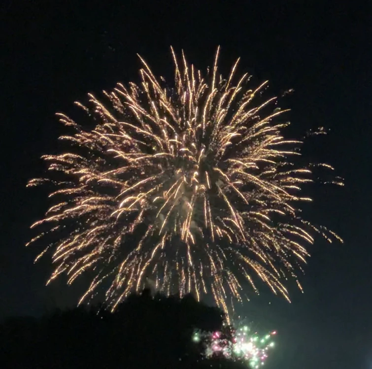 Firework 🎆 | Fandom