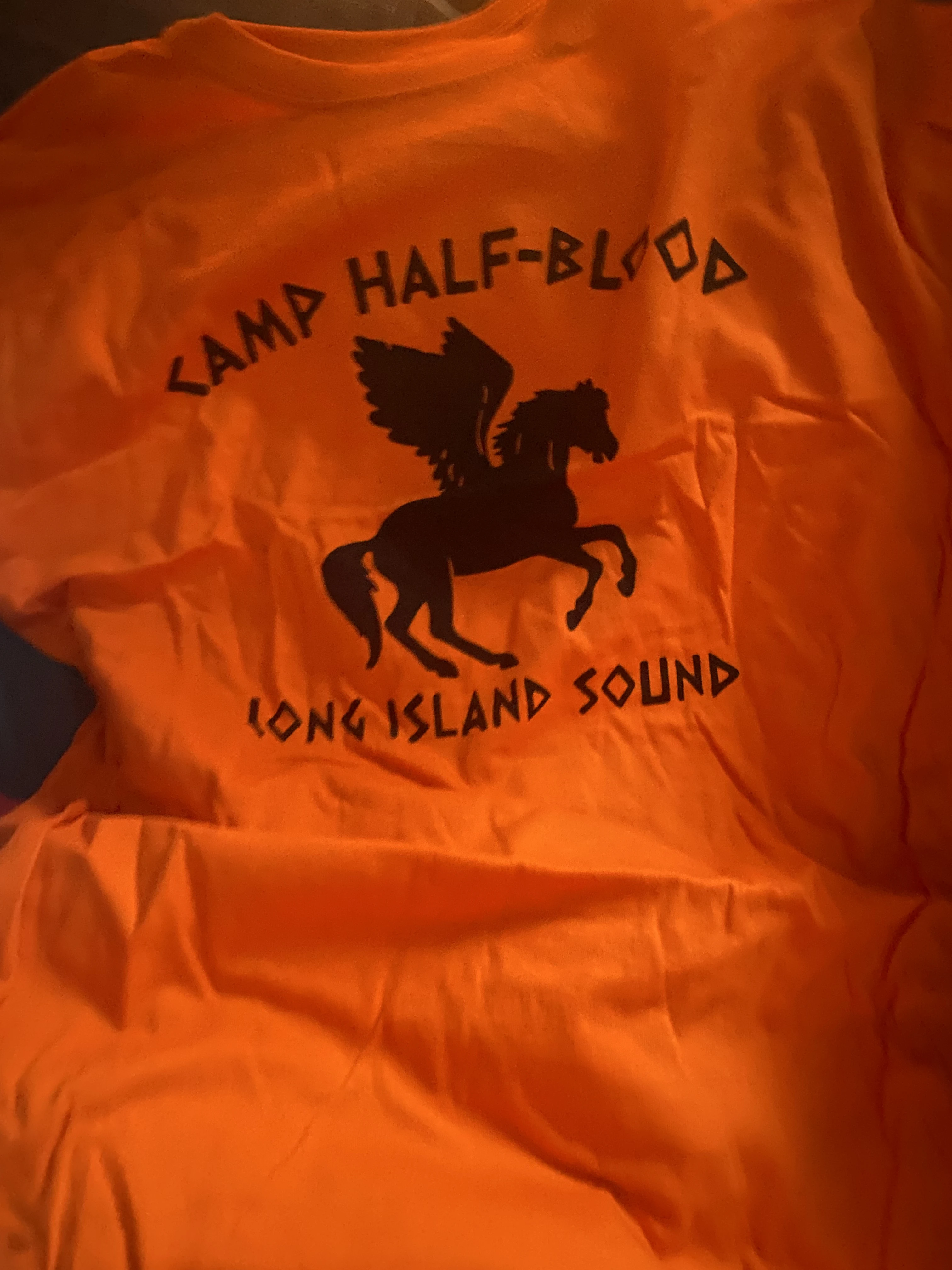 I got the camp half blood shirt | Fandom