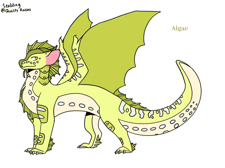 Raffle! (SeaWings and a Sea-Rain) (please enter!) | Fandom