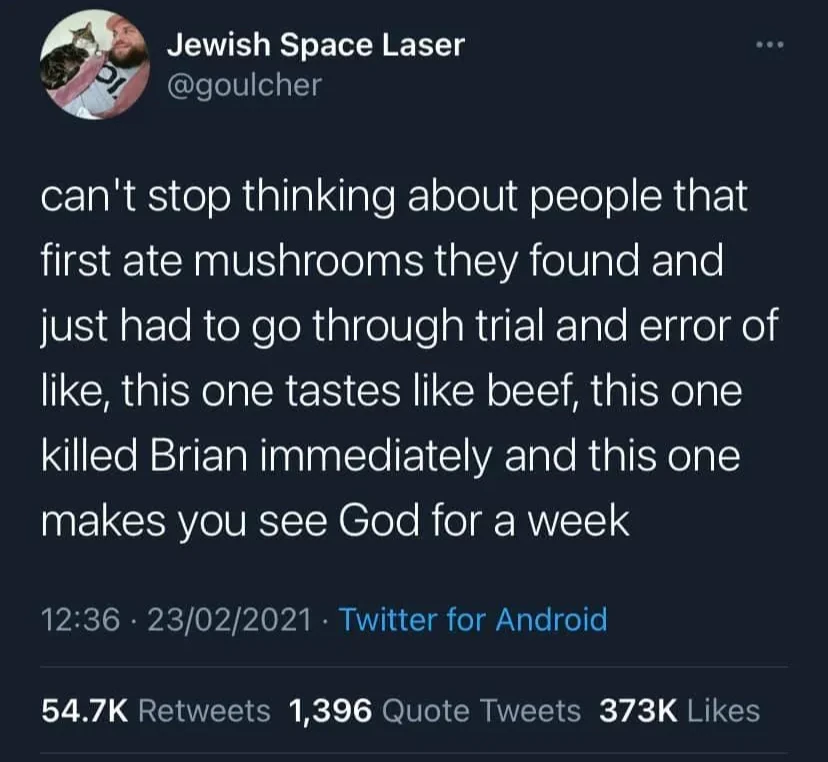 ask me ze questions and i will give ze answers | Fandom