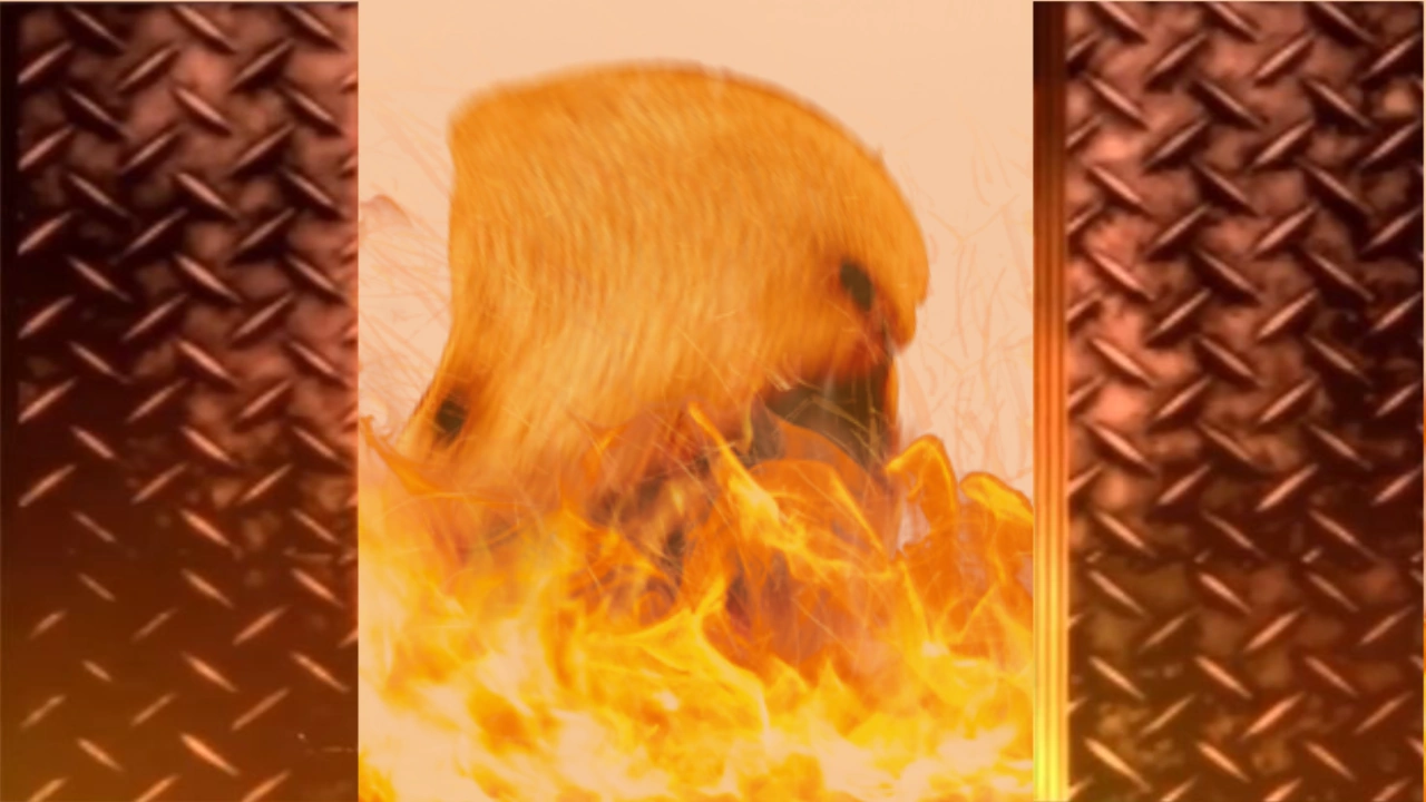 Late thanksgiving turkey | Fandom