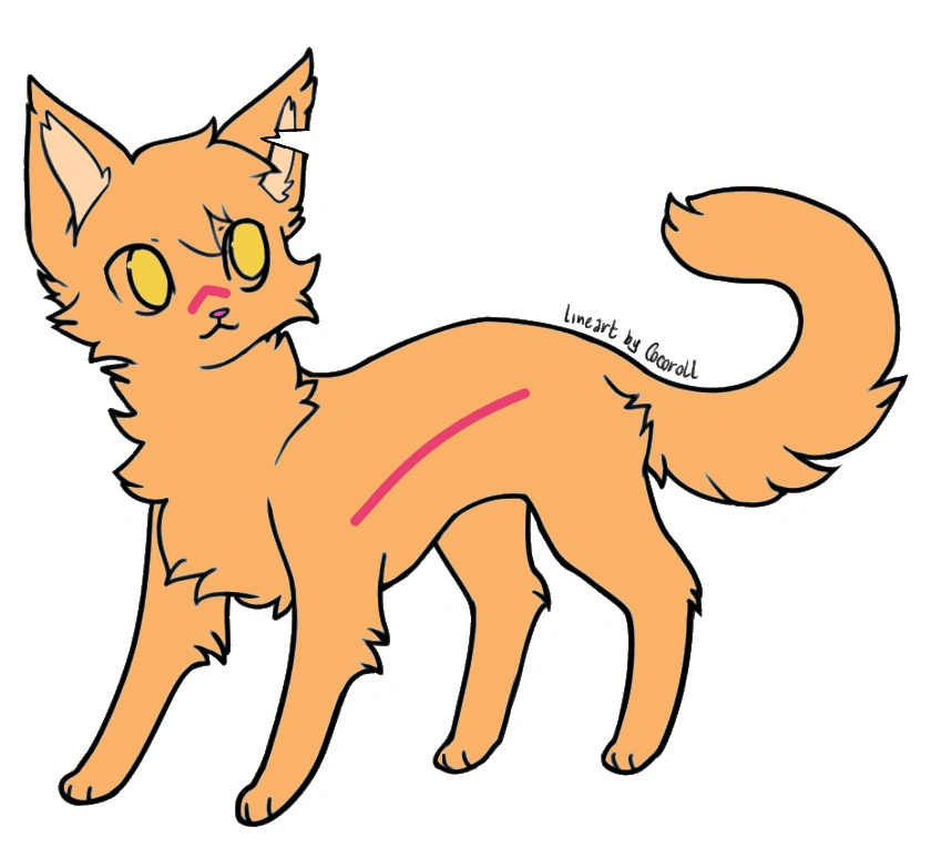 ( Enter clan here ) Needs your help! || UNSTARTED|| WC || | Fandom