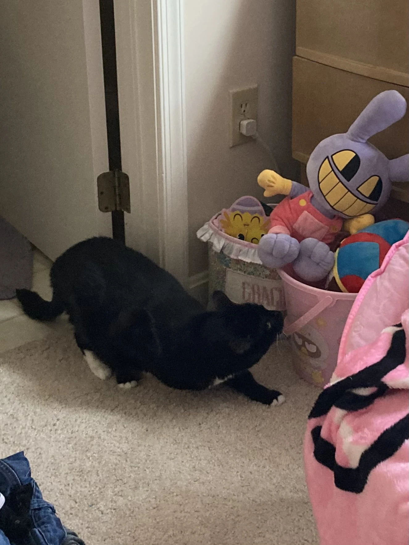 Daily Shadow - Day 74 | Fandom