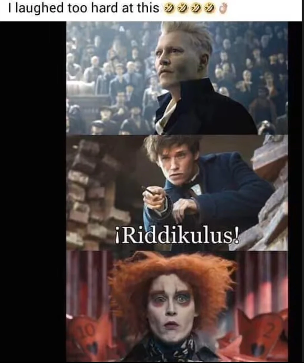 Daily HP Meme #28 | Fandom