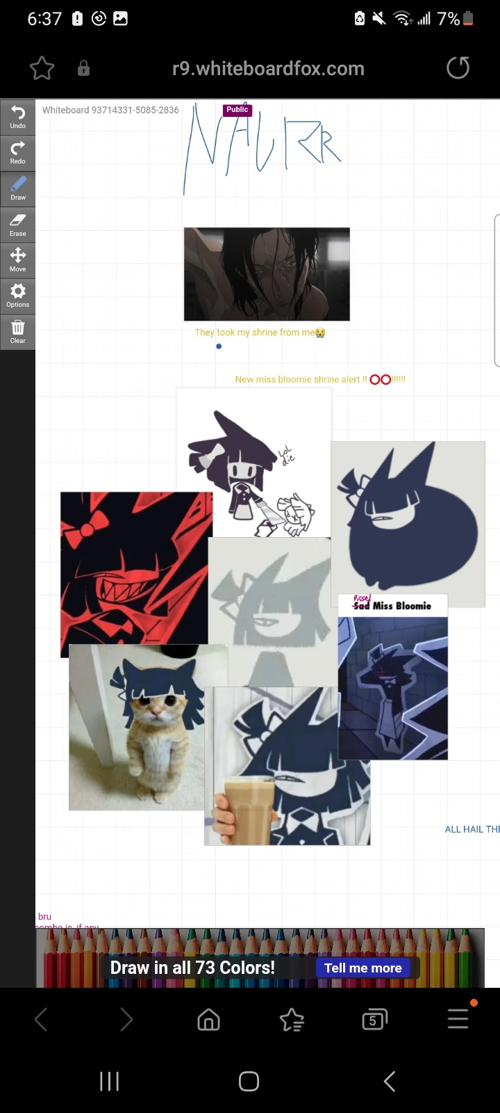 ALL HAIL THE MISS BLOOMIE SHRINE | Fandom