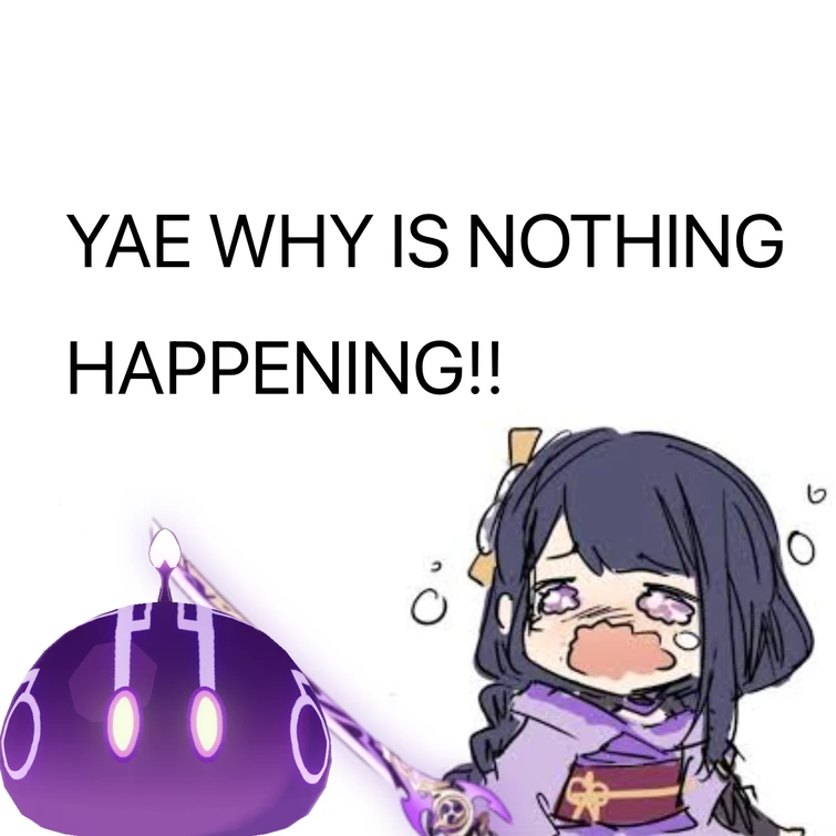 Share your raiden ei memes. | Fandom