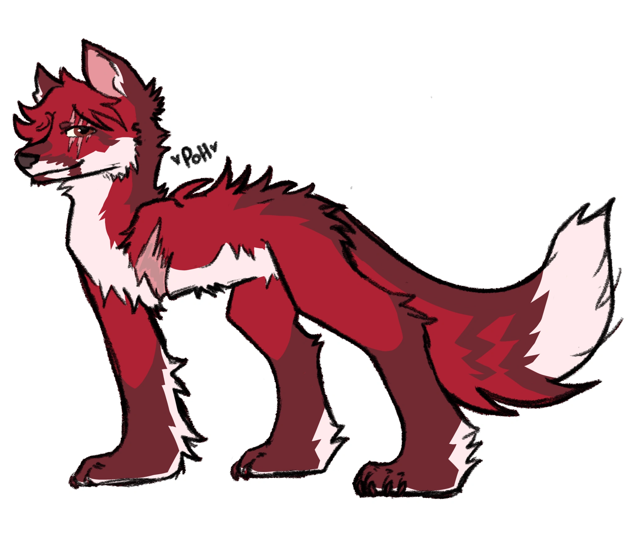 Decided all cats was boring so I made shanks a fox | Fandom