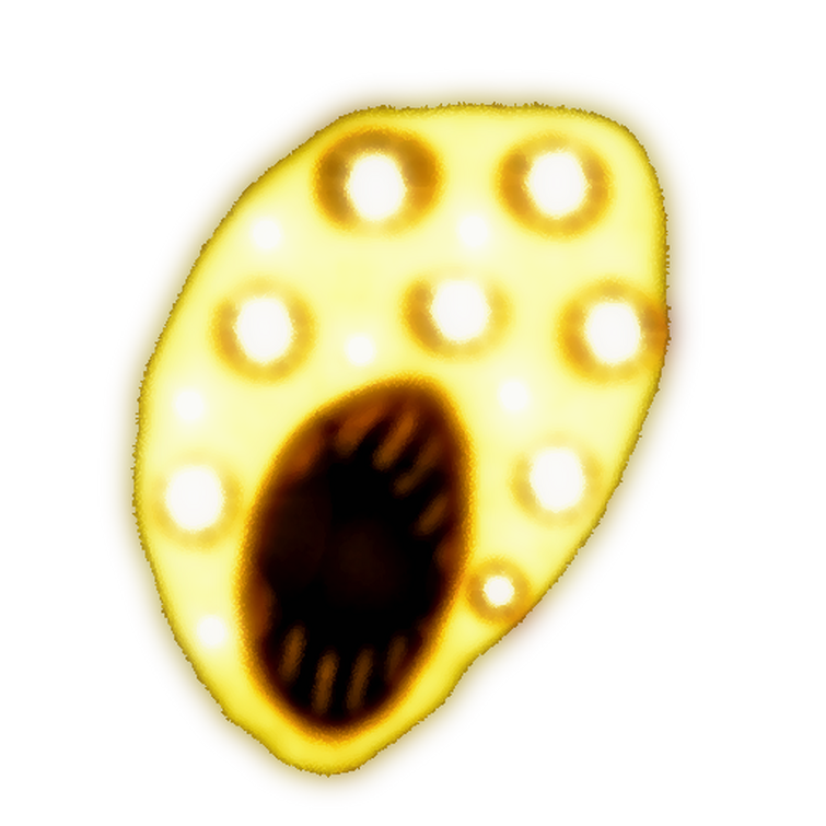 Discuss Everything About Doors Ideas Wiki | Fandom