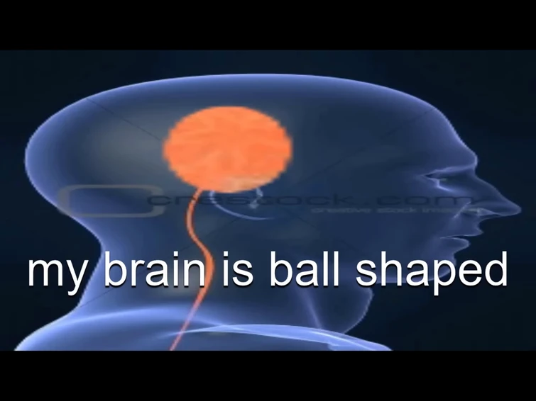 My brain RN: | Fandom