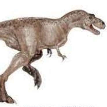 Discuss Everything About Dinopedia | Fandom