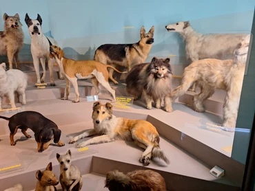 WATCHA THINK BOUT ME? | Fandom