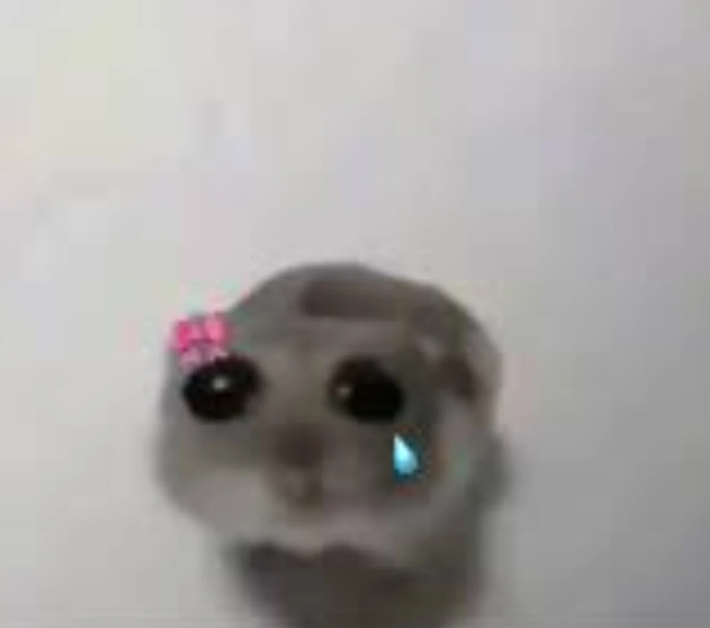 Me searching up furry and wolf drawings to get great paw references for ...