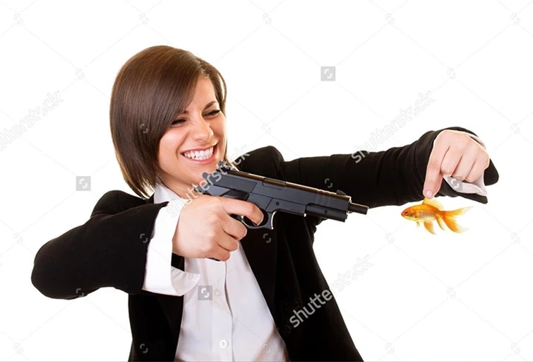 What typa shi Toasty is trying to do right now: | Fandom