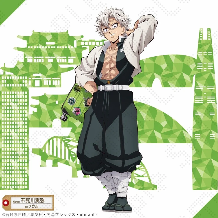 Hashira Rankings | Fandom