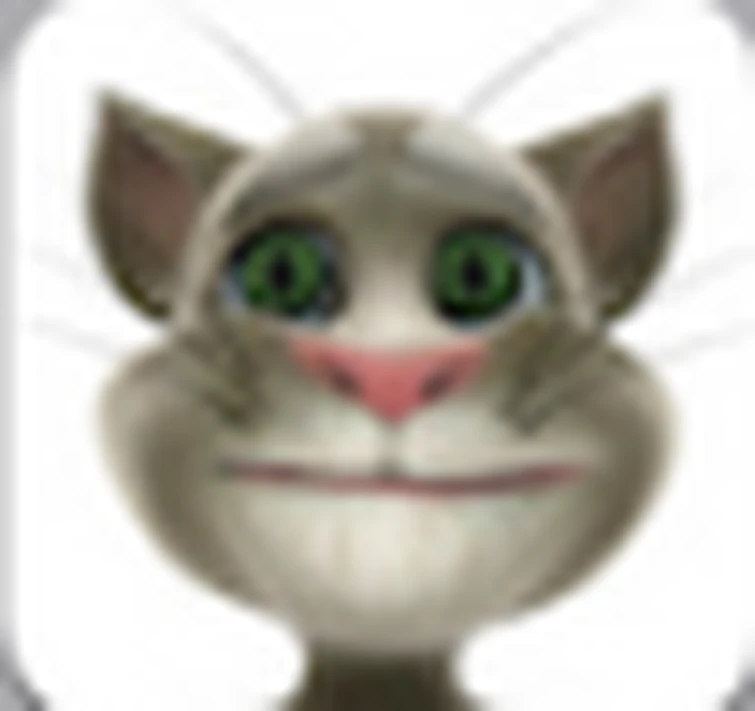 Discuss Everything About Talking Tom & Friends Wiki | Fandom
