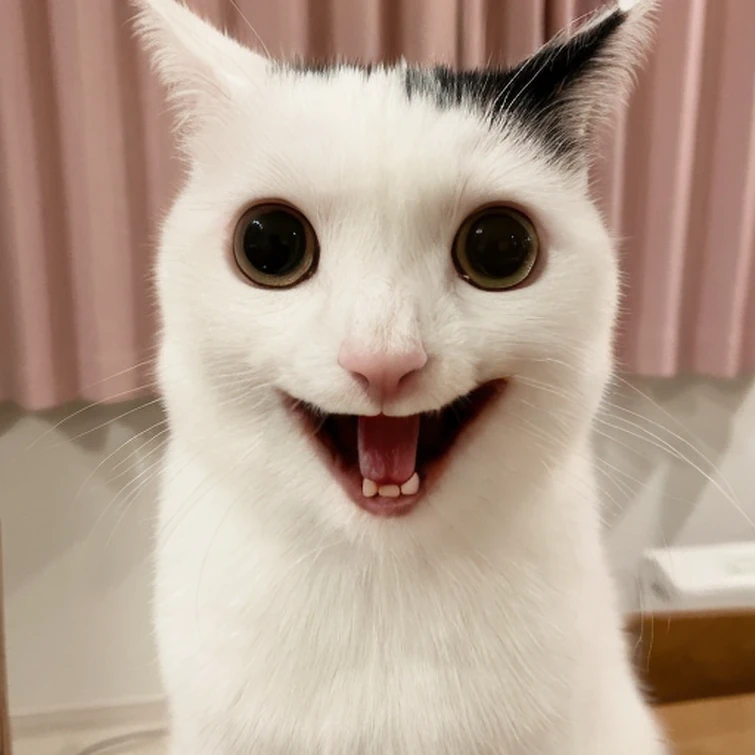 cursed jermbo | Fandom