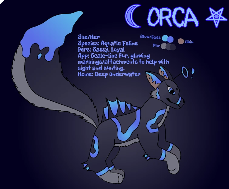 𝗛𝗘𝗛𝗘𝗛𝗔𝗛𝗔 | Fandom