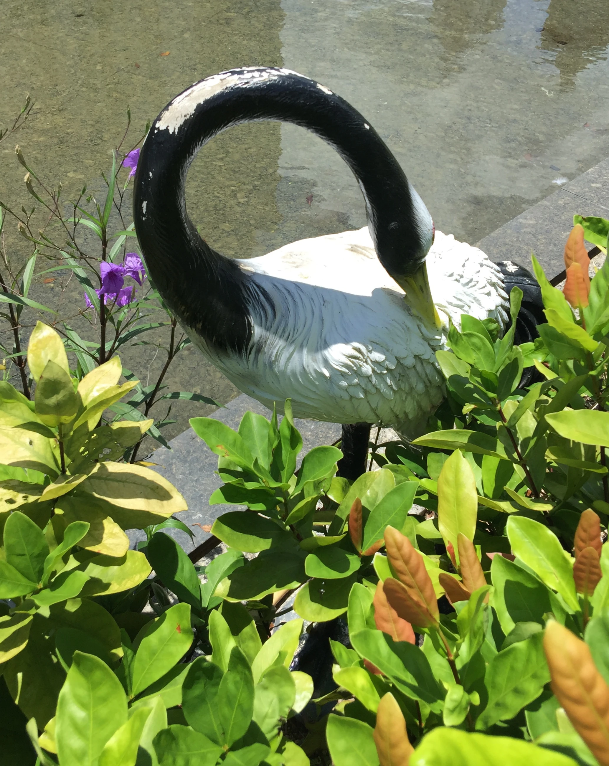 day 40 of flower | Fandom