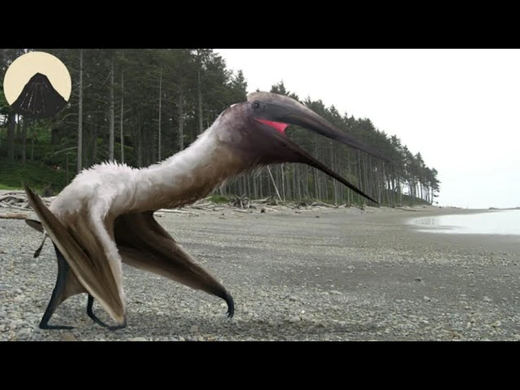 Quetzalcoatlus or Cryodrakon? | Fandom
