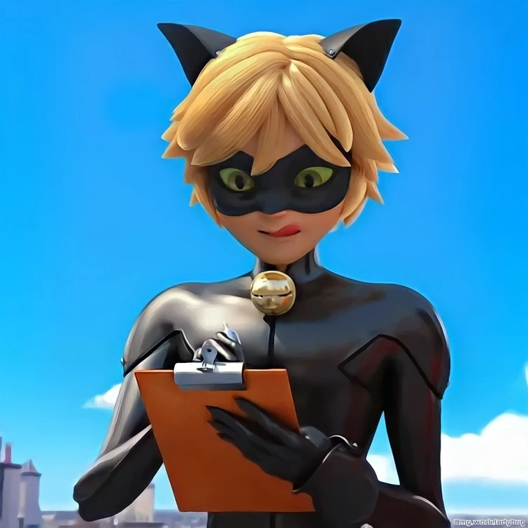 What is Cat Noir writing about? (Wrong answers only) | Fandom