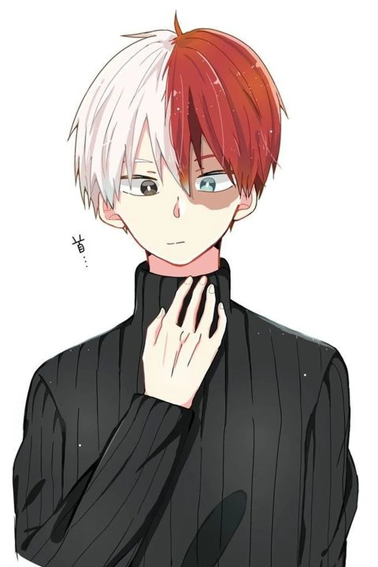 TODOROKI IN A TURTLE NECK | Fandom
