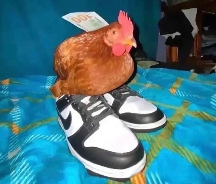 Mort the chicken? Nah… | Fandom