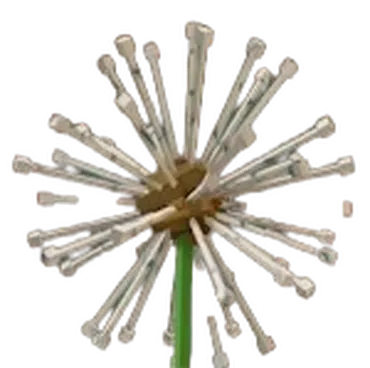 Discuss Everything About Grow a Garden Wiki | Fandom