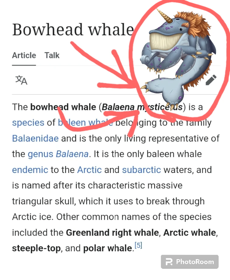 Discuss Everything About My Singing Monsters Wiki | Fandom