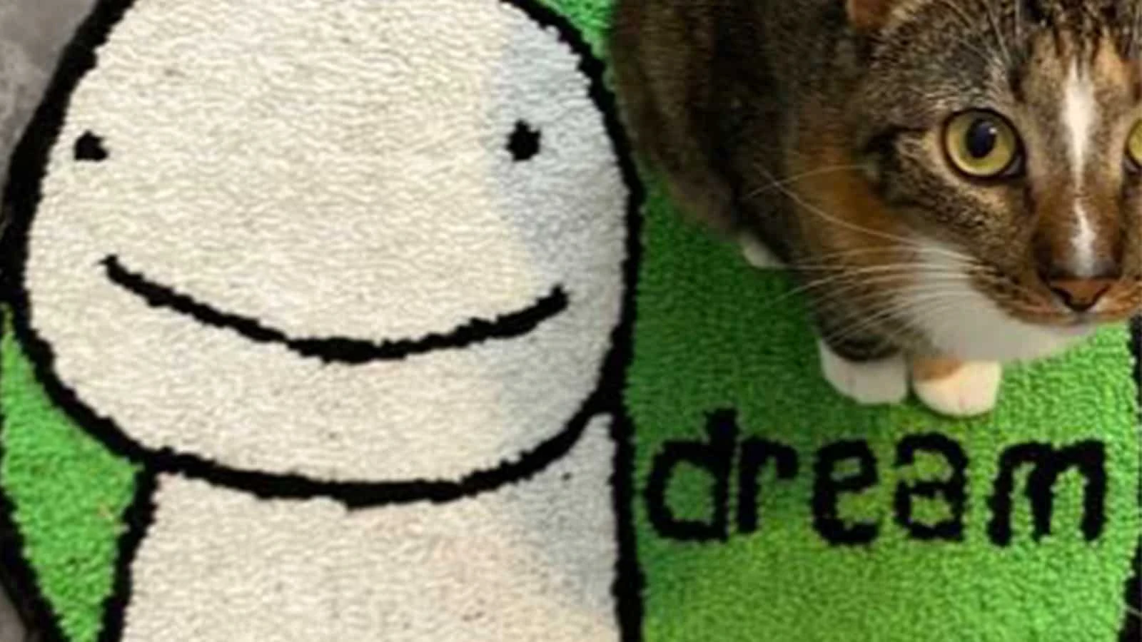 PATCHES DAY | Fandom