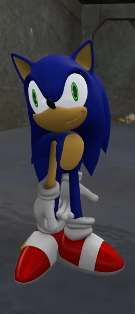 Remember this Sonic from balenaproductions | Fandom