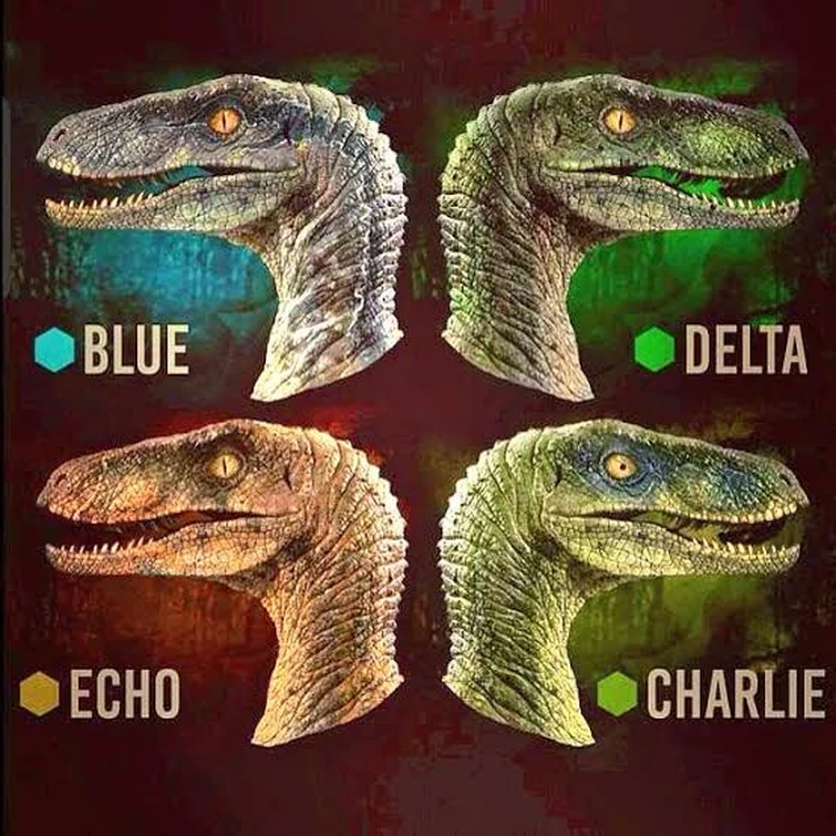 Raptor Squad | Fandom