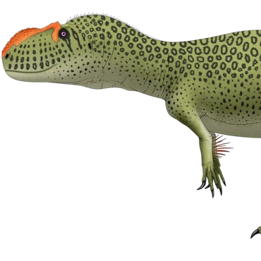 Discuss Everything About Dinopedia | Fandom